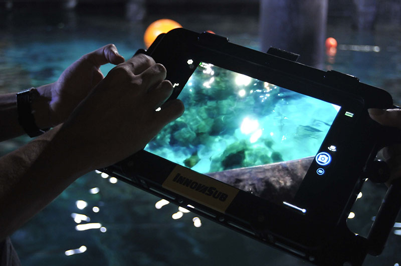 DPX-1 Shield Underwater Tablet Housing