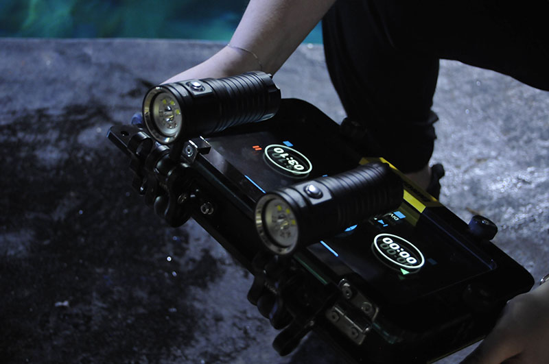 DPX-1 Shield Underwater Tablet Housing