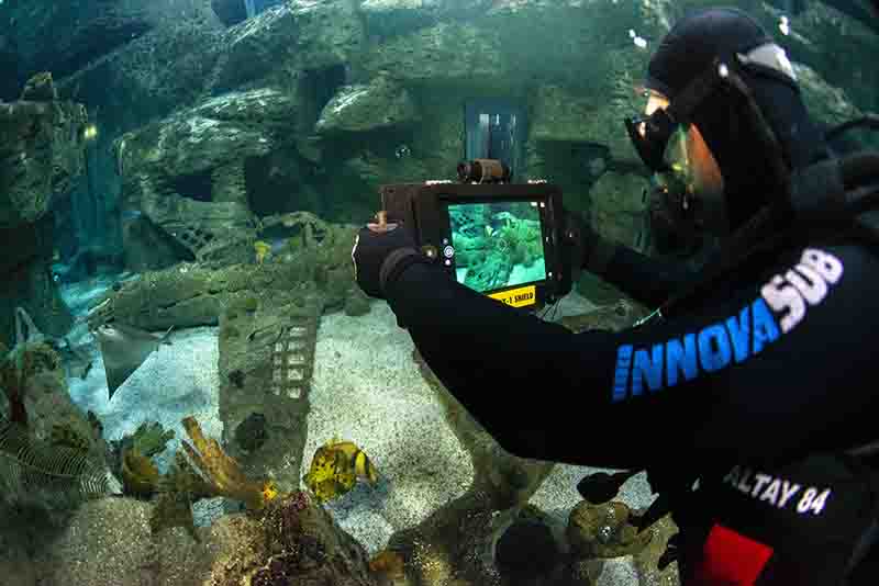 DPX-1 Shield Underwater Tablet Housing