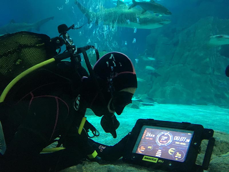 DPX-1 Shield Underwater Tablet Housing