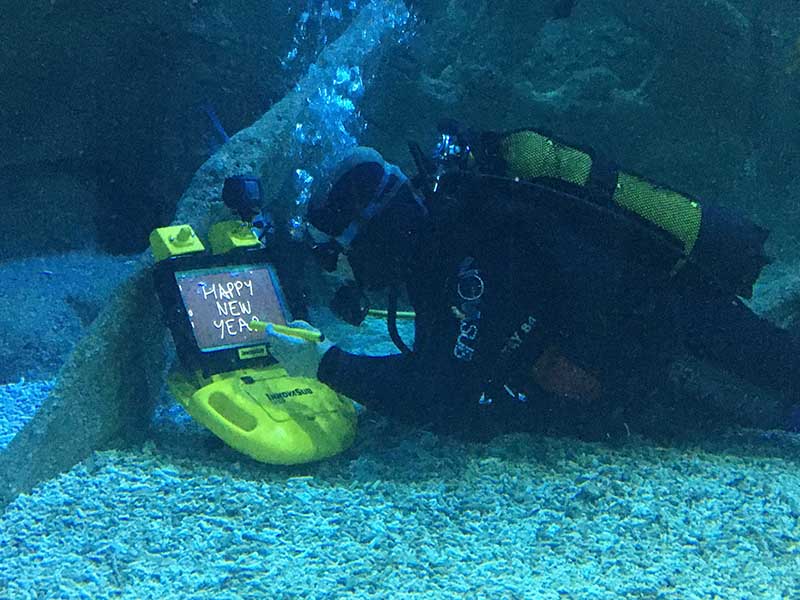 DPX-3 Dagger Underwater Tablet Pen