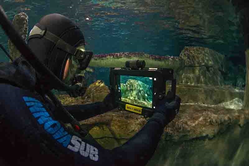 DPX-1 Shield Underwater Tablet Housing