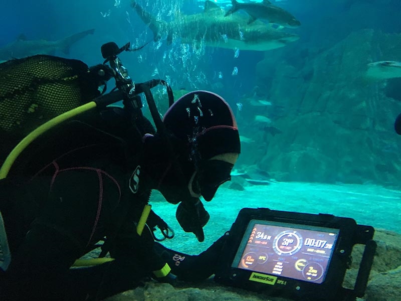 DPX-1 Shield Underwater Tablet Housing