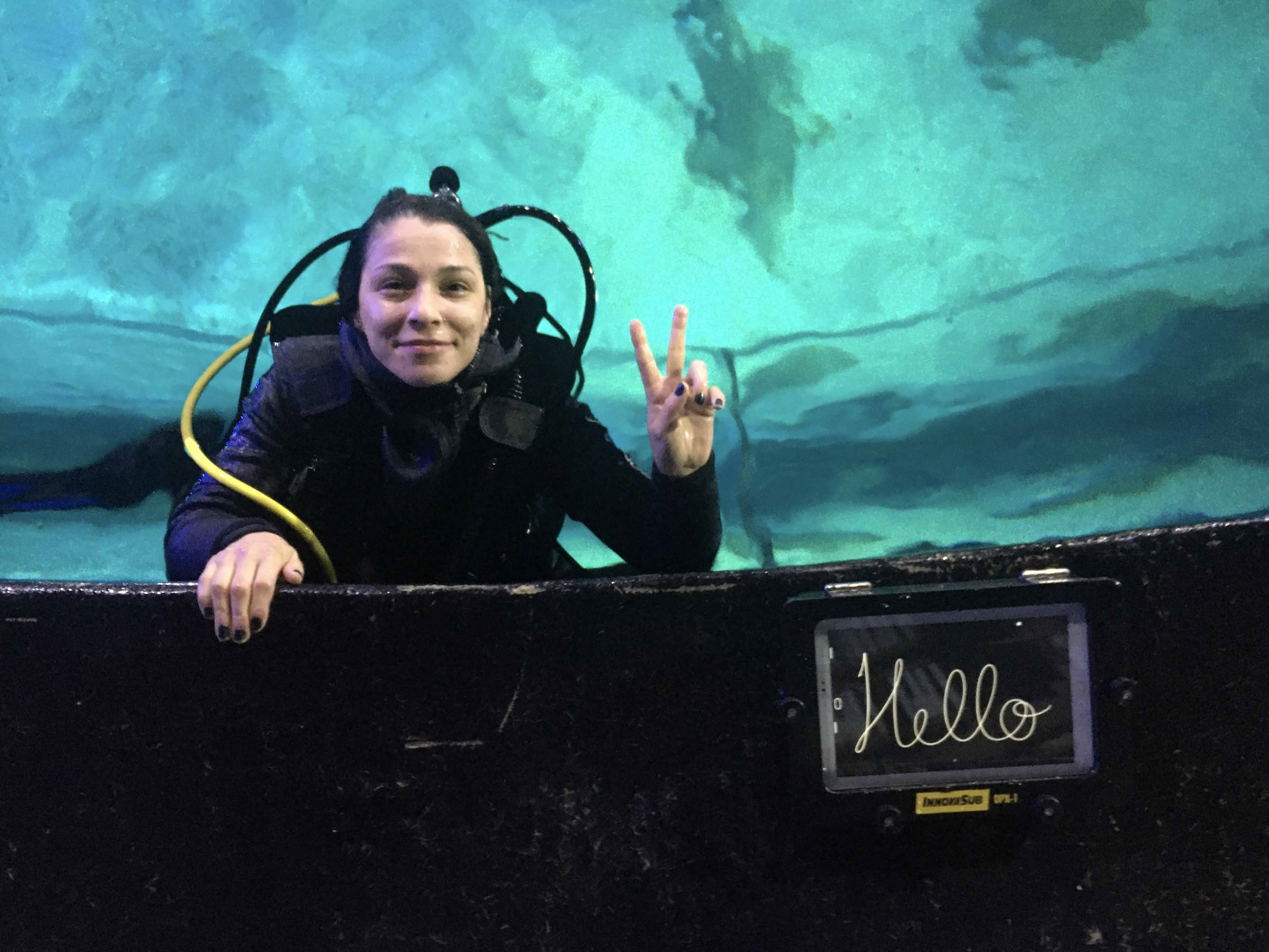 DPX-1 Shield Underwater Tablet Housing